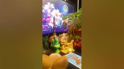 საით უნდა მიმართოთ თქვენი ენერგია 😊🔮🔥 Youtube