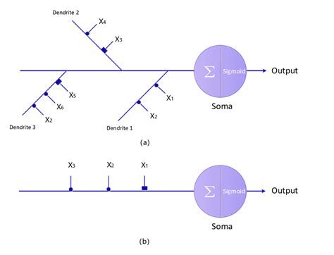 Structure Of The Dendritic Neuron Model With Inhibitory Input And