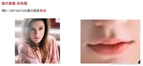 计算机中的数据存储 计算机存储数据 csdn博客