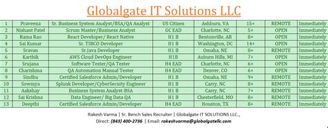 globalgate hotlist sr ba qa analyst scrum ba tibco aws cloud