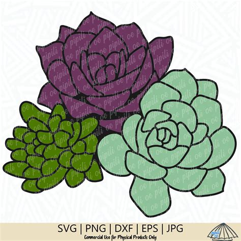 Succulent Cluster Svg Succulent Svg Plant Svg Succulent Etsy Succulent Cluster Svg Succulent Svg Plant Svg Succulent Etsy