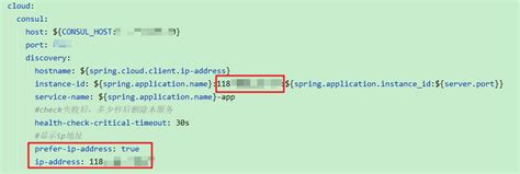 【springcloud】consul注册中心注册的服务为内网（局域网）ip 詹庆豪 博客园
