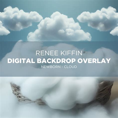 Newborn Cloud Theme Digital Backdrop Overlay Perfect For Studio