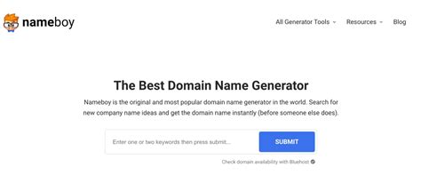 13 Tips For Choosing The Perfect Domain Name