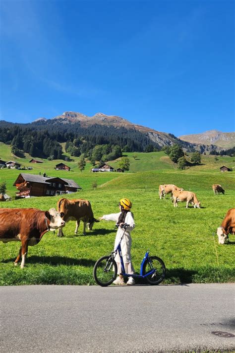 스위스 여행 피르스트 액티비티곤돌라 마운틴카트 트로티바이크 가격 소요시간 네이버 블로그