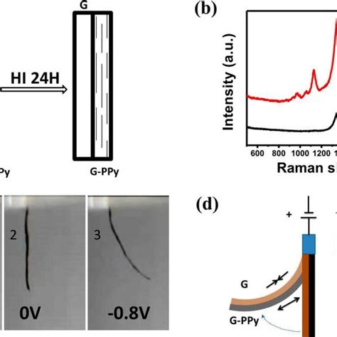 A Schematic Fabrication Process Of Gg Ppy Film B Raman Spectra Of