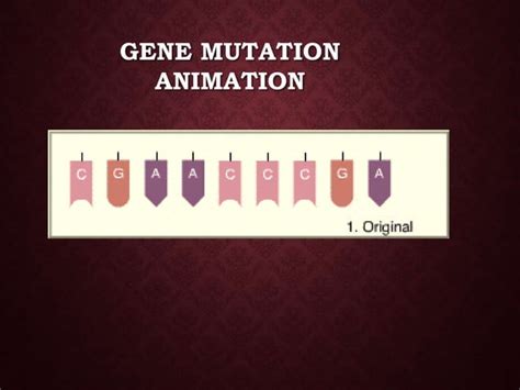 Polyploidy Mutation And Hybridization With Reference To Medicinal