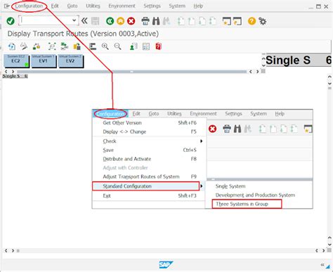 Stms Configuration In Single System With Virtual System Sap Basis Genie