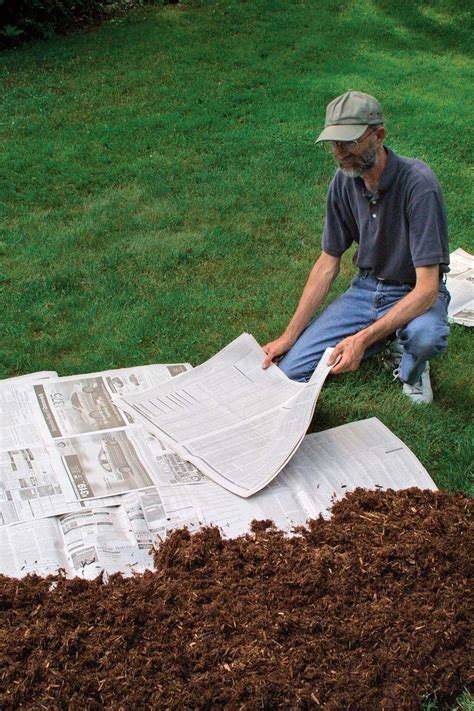 Four Ways To Remove Grass For A Garden Bed Artofit