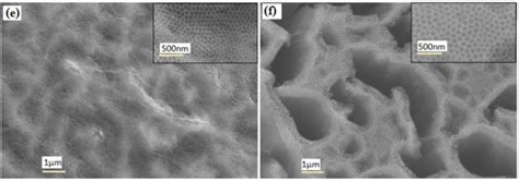 Sem Images At A Magnification Of 10 000x Showing Tio2 Nanoporous Layers
