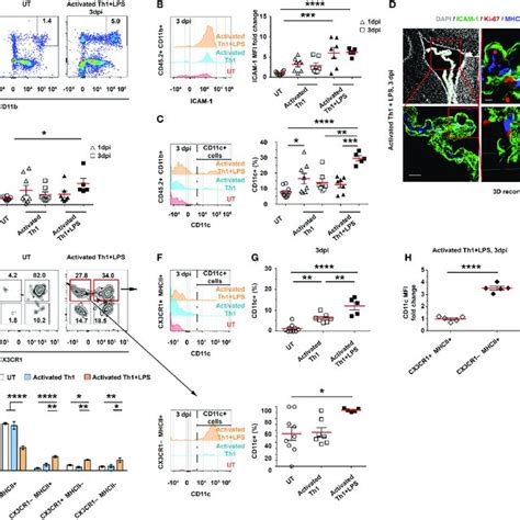 The Choroid Plexus Cp As A Checkpoint For Cell Mediated Immunity In
