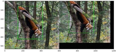 Learn To Augment Images And Multiple Bounding Boxes For Deep Learning