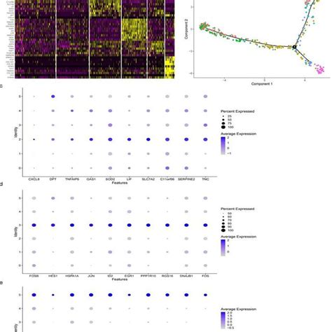 Cell Trajectory Analysis And Annotation Of 6 Clusters A The Heatmap Of Download Scientific