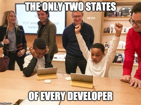 the only two states of every developer r programmerhumor