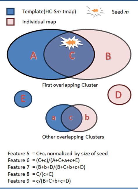 Figure 1 From Neuroimage Clinical Patient Specific Connectivity Pattern Of Epileptic Network In