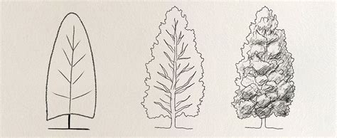 Trees Drawing Tutorials MANUR Trees Drawing Tutorial Tree Drawing Drawing Tutorial