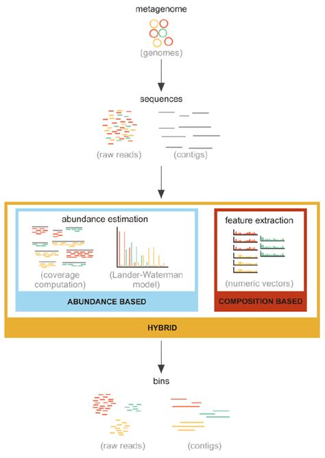 Workflow Of Composition Based Binning Strategies Download Scientific Diagram