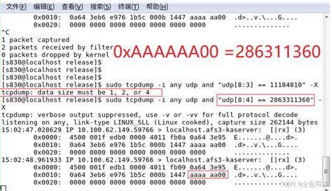 利用tcpdump抓取udp数据tcpdump Udp Csdn博客