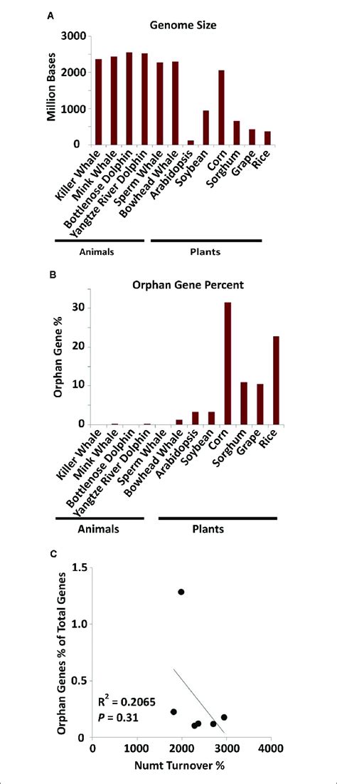 Orphan Gene Content In Six Aquatic Mammals A Whole Genome Sizes Of