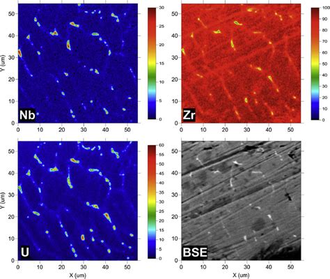 Bse Image And Quantitative X Ray Element Distribution Maps False