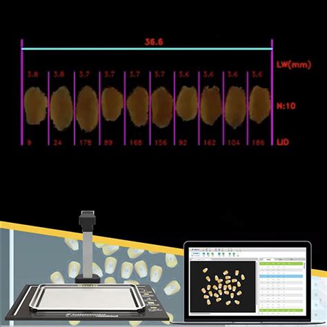 Intelligent Seed Biological Character Analysis System Thousand Grains