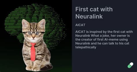 First Cat With Neuralink Aicat Pump