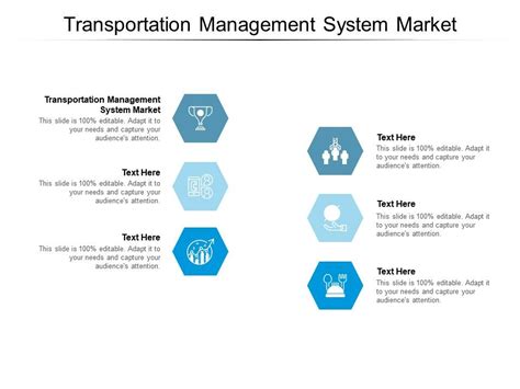 Transportation Management System Market Ppt Presentation Professional Outfit Cpb Presentation