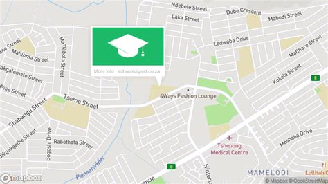 Tsako Thabo Secondary School Phone Email Address And Matric Results