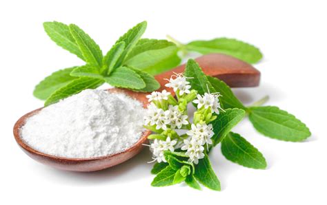 Steviosid: Eine revolutionäre Alternative zu Zucker