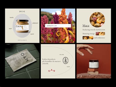 Instagram Feed Designs Themes Templates And Downloadable Graphic Elements On Dribbble