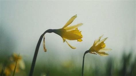 Itz Rochaa Itzzz Rocha Perfil Pinterest