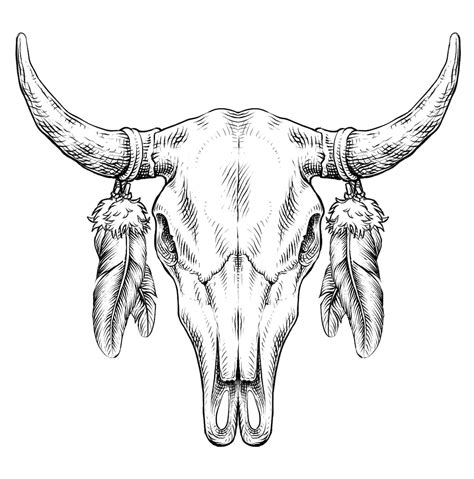 Hand Drawn Western Bull Skull Png Bundle Cow Skull Digital Download
