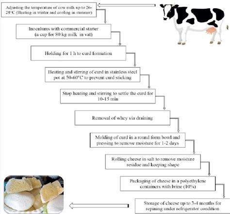 Cheese Making Process Flowchart At Autumn Allen Blog