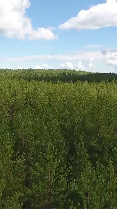 인간이 훈련 없이는 향상될 수 없는 것처럼 귀중한 보석도 마찰 없이 소중히 여겨질 수 없습니다 Youtube