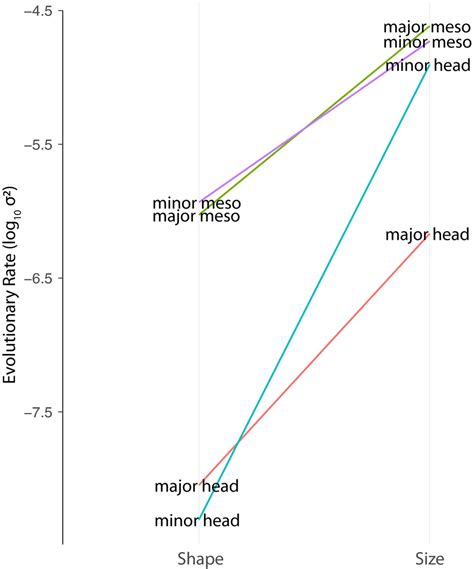 Comparison Of Evolutionary Rate Estimates For Size And Shape Of