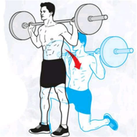 Barbell Bench Step Up Reverse Lunge Combo At Kai Schutt Blog