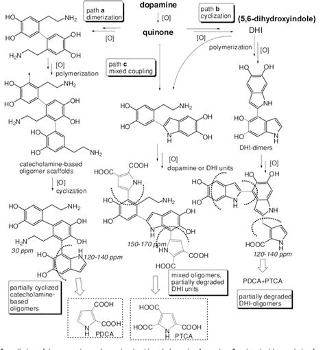 Figure 2 From Polydopamine Assisted Surface Modification For