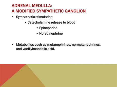 Ppt Adrenal Gland Powerpoint Presentation Free Download Id 5668499