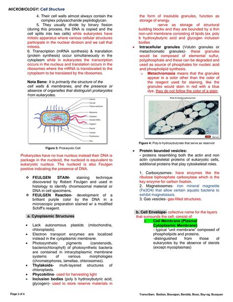 SOLUTION Microbiology Lecture Cell Structure Studypool