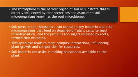 Root Microbe Interactionstypes Of Mycorrhizae Pptx