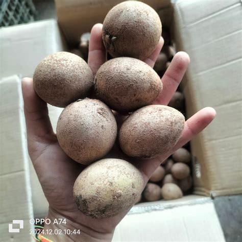 ຫັ້ງ ຫັ້ງ ຂາຍໝາກໄມ້ລາຄາສົ່ງຍົກລັງ