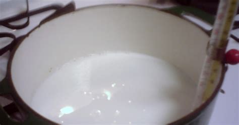 Notarealchef Yogurt Experiment