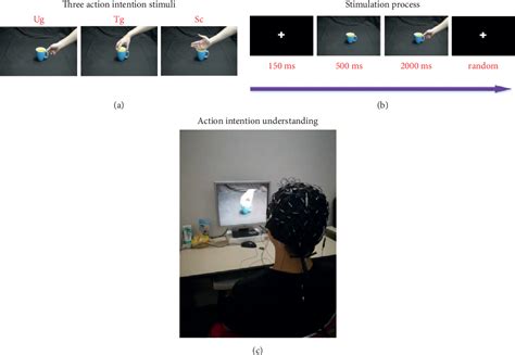 figure 1 from action intention understanding eeg signal classification