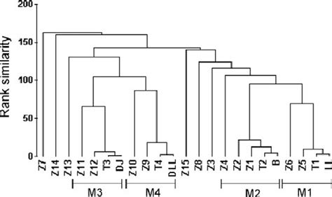 Hierarchical Agglomerative Clustering Showing Rank Similarity Linkage Download Scientific