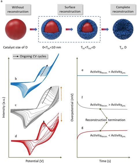 A Schematic Diagram For The Microstructure And Reconstruction Degree Download Scientific
