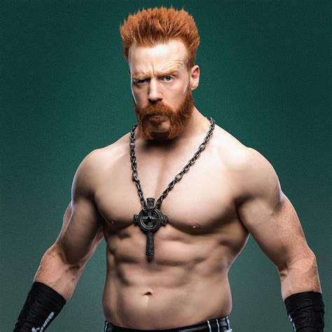 Report Wwe Planning Sheamus To Become First Ever Ultimate Grand Slam