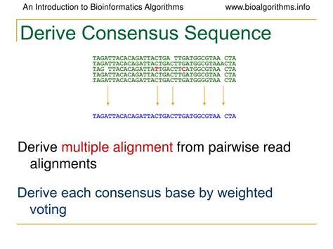 Ppt Graph Algorithms In Bioinformatics Powerpoint Presentation Free Download Id 3306524