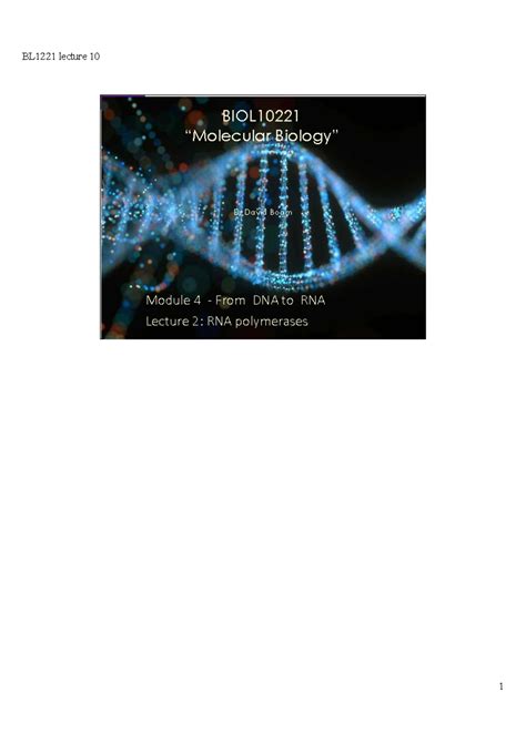 Bl1221 Lecture 10 Rna Polymerases Prokaryotic Vs Eukaryotic
