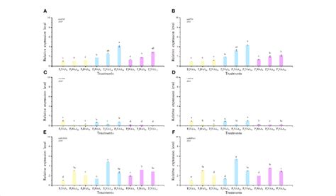 Effect Of Phosphorus And Naphthalene Acetic Acid Levels On The Relative