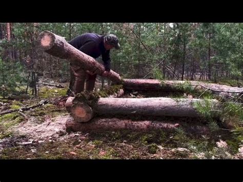 How To Build A Log Cabin With A Stove In The Wild Forest Survival And Bushcraft Alone YouTube